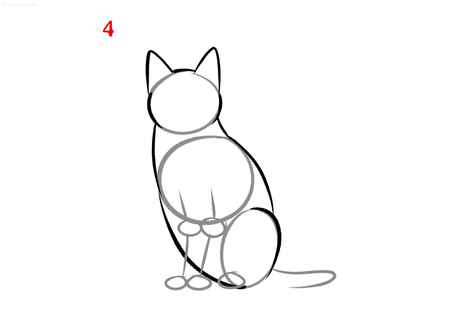Easy Cat Drawing Ideas How To Draw A Cat Step By Step