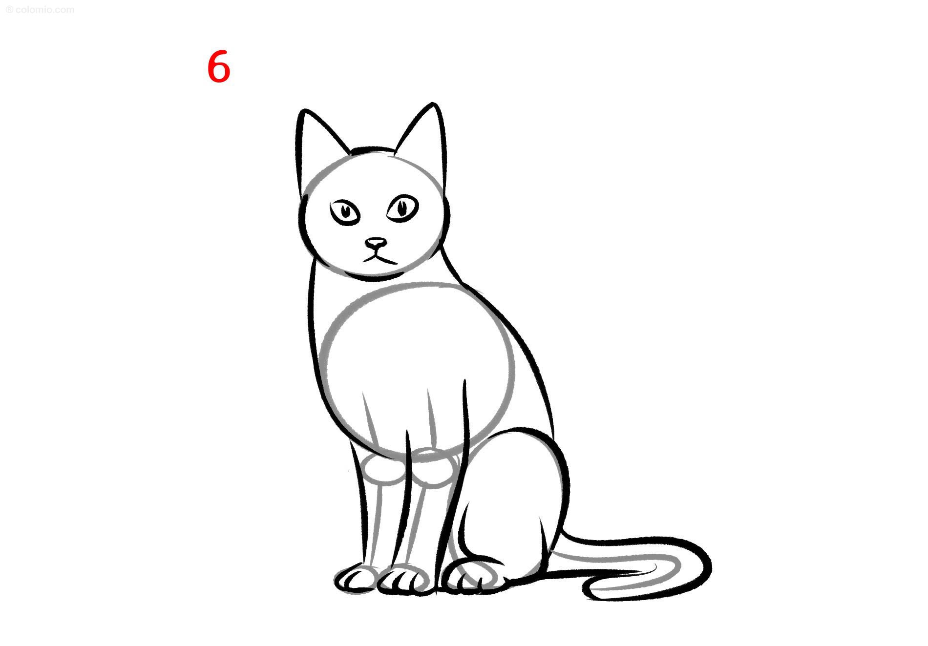 Easy Cat Drawing Ideas How To Draw A Cat Step By Step