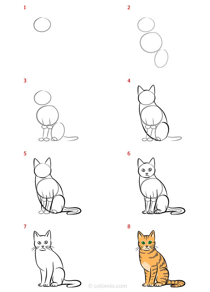 Cat Drawing Pictures Step By Step Printable Infoupdate