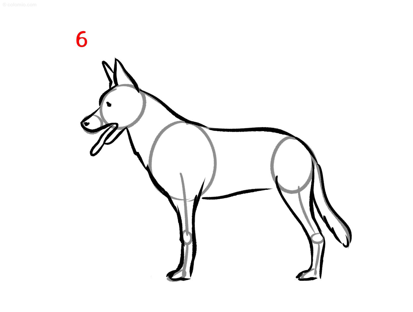 Easy Dog Drawing How To Draw A Dog Step By Step Easy Dog Drawing How To Draw A Dog Step By Step