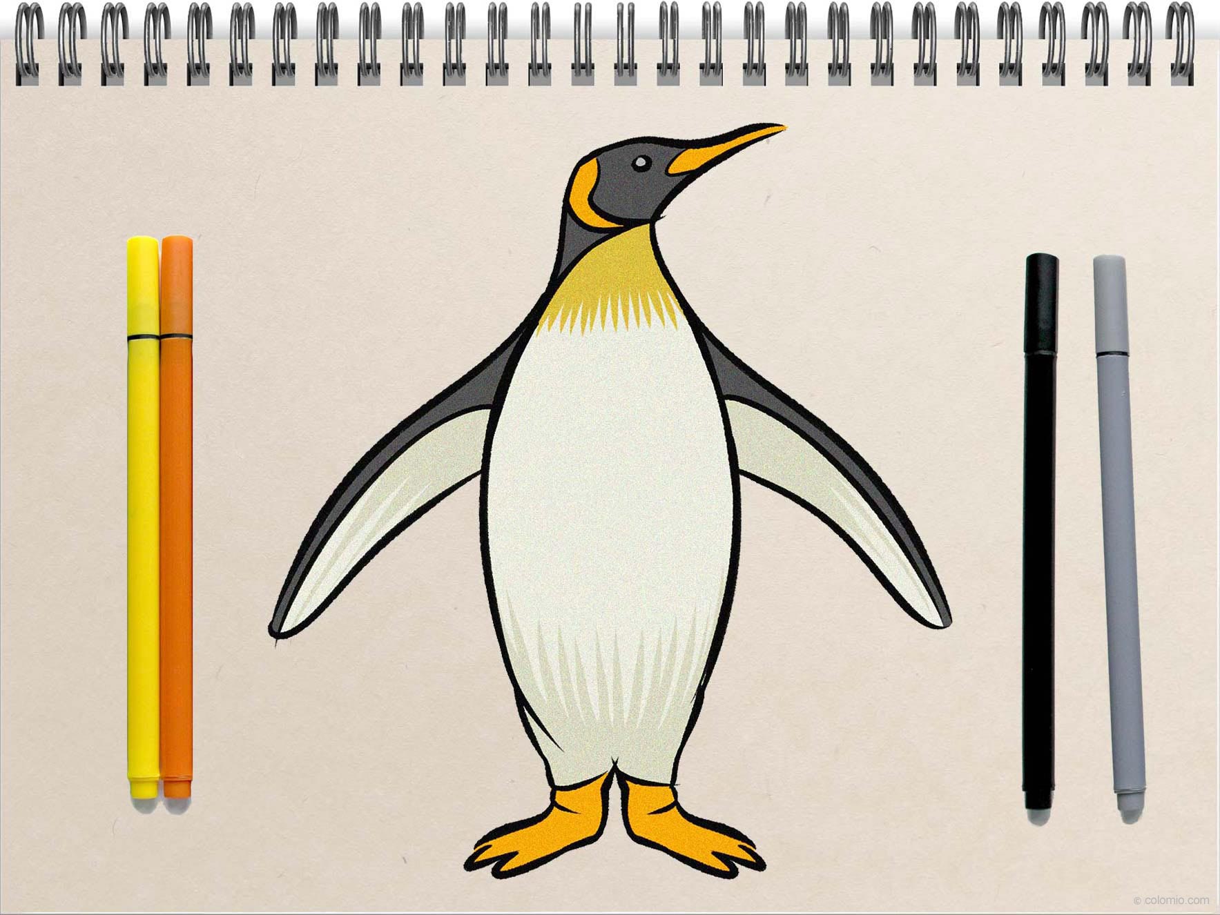 Penguin Drawing How To Draw A Penguin