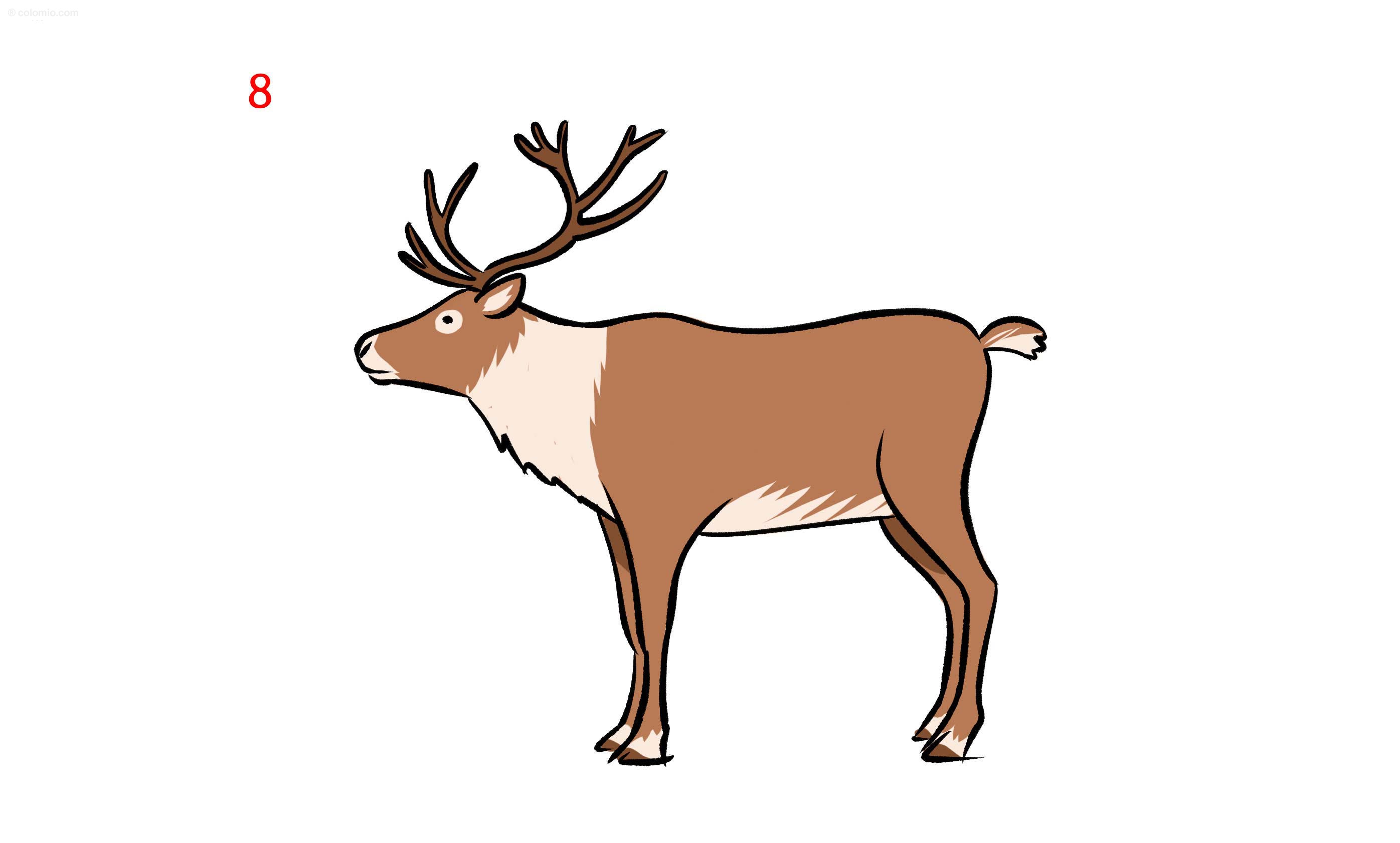 How To Draw A Reindeer Reindeer Drawing Ideas