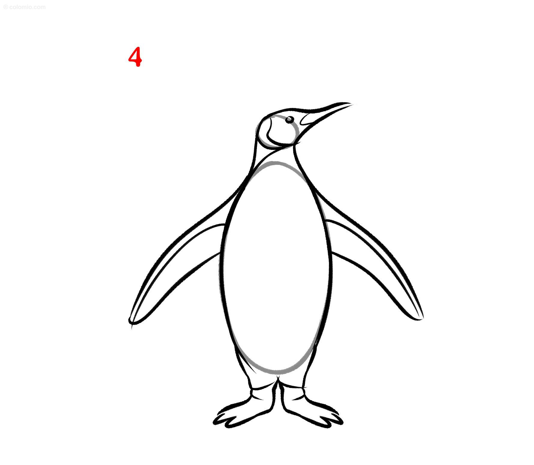 Penguin Drawing How To Draw A Penguin