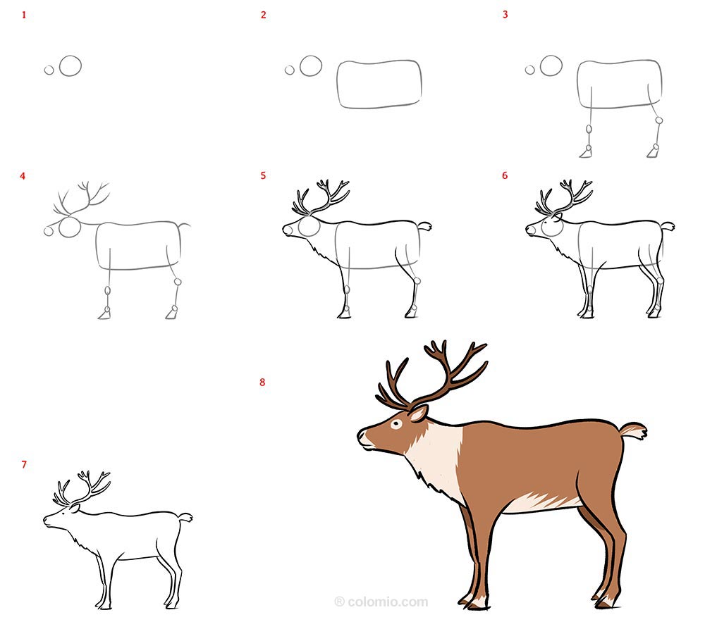How To Draw A Reindeer Step By Step Pictures Cool2bki Vrogue co