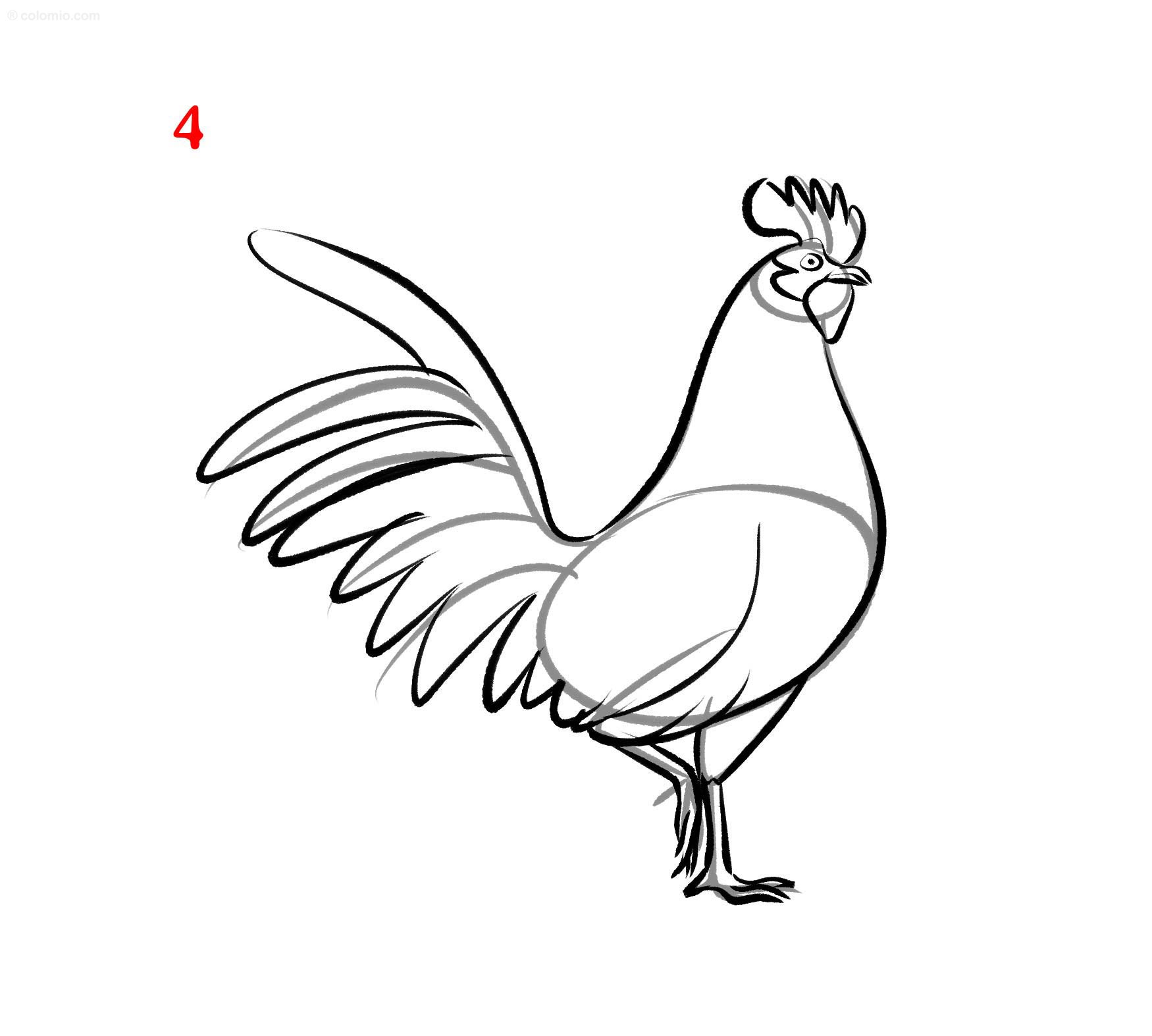 Dessin De Coq Comment Dessiner Un Coq Pas Pas