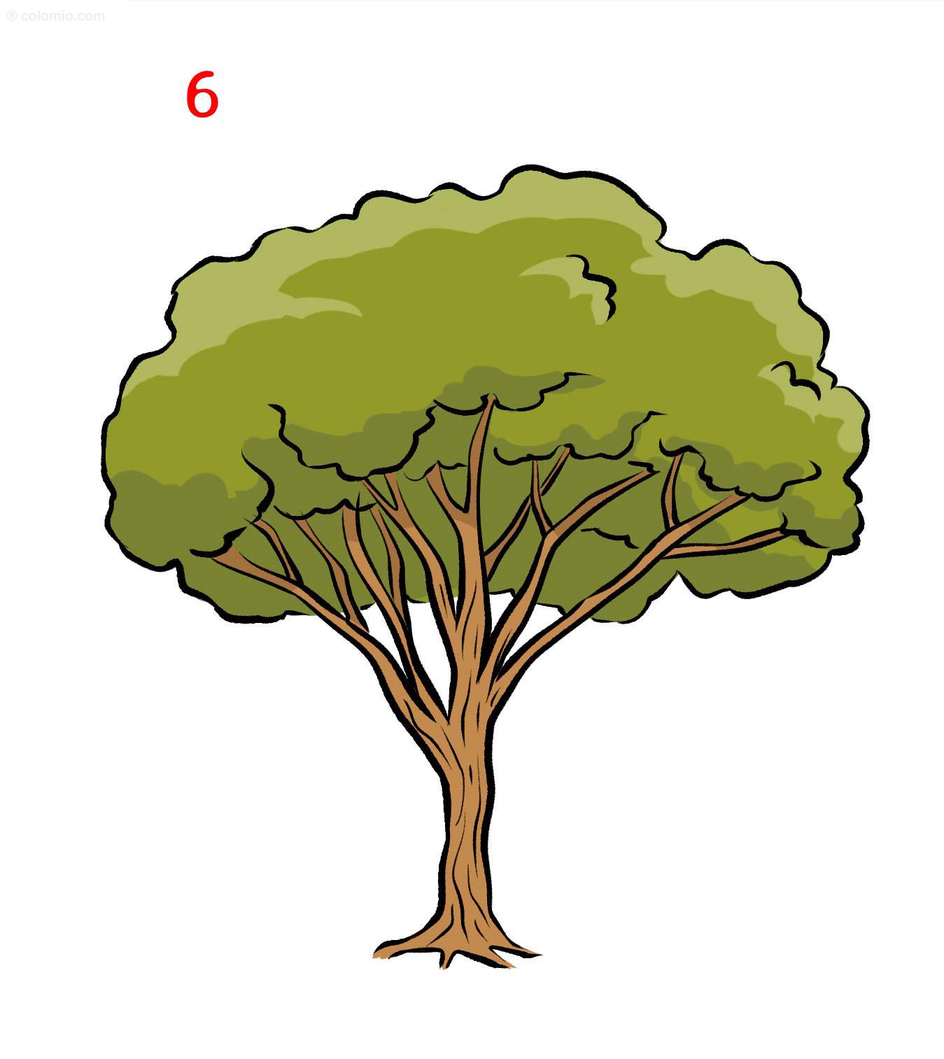 How To Draw A Tree Without Leaves Step By Step For Kids