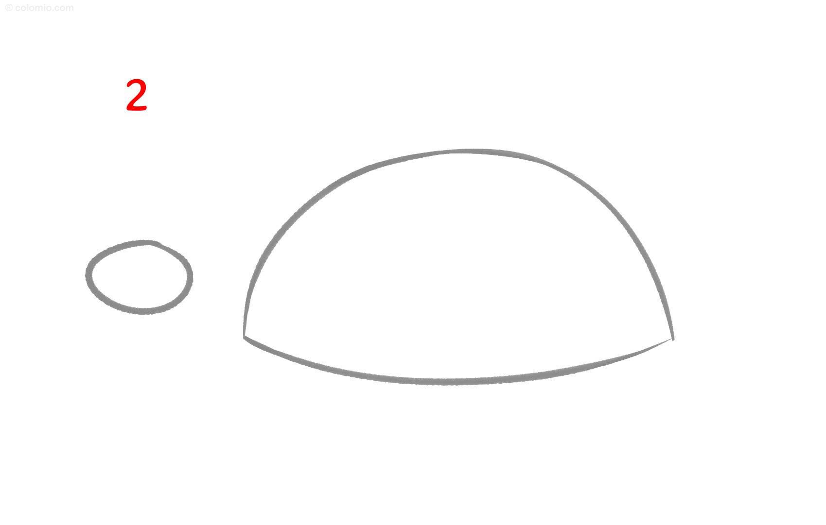 Turtle Drawing How To Draw A Turtle